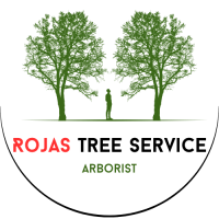 Rojas Tree Service – Tree Services for Southern Maine